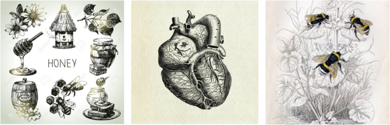 What is Apitherapy – We Are Insect Therapy